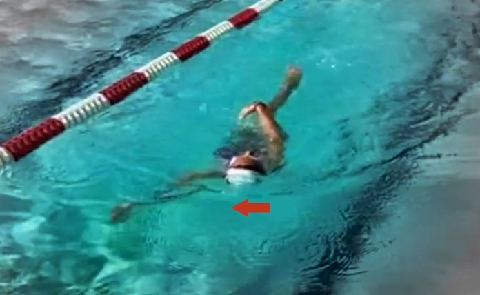 Freestyle Swimming Improvement Tips For Beginners - Rocket Swimming