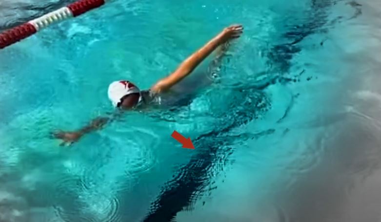 Freestyle Swimming Improvement Tips For Beginners - Rocket Swimming