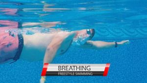 Freestyle Swimming Stroke Explained - New & Improved 2022 - Rocket Swimming